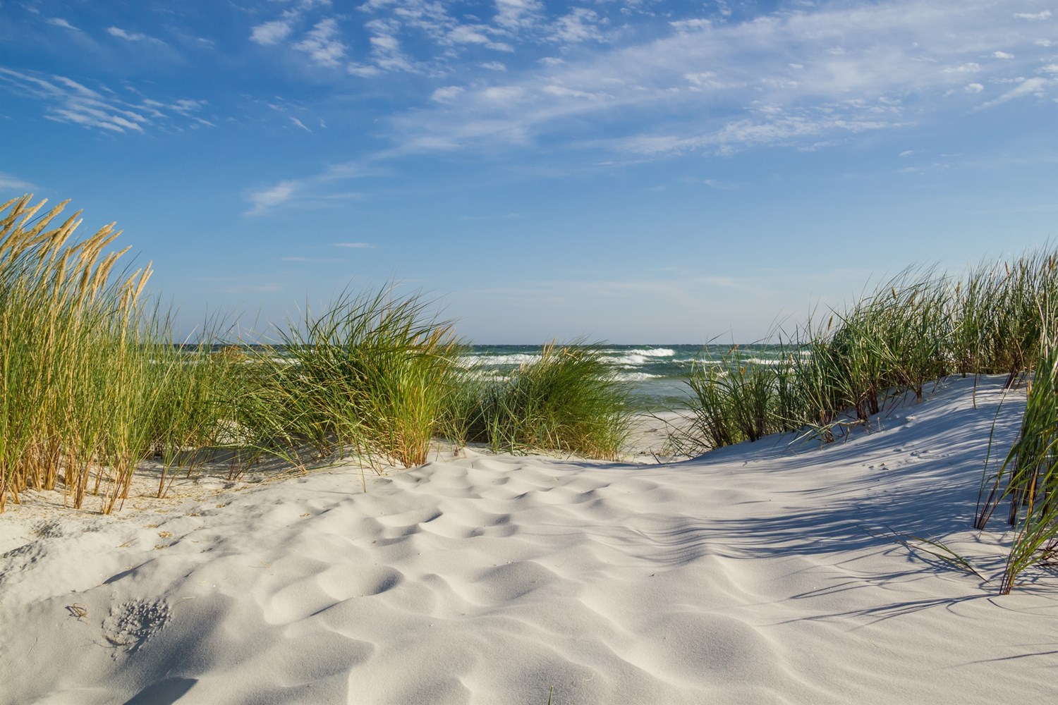 Møllers Dueodde Camping | Smuk natur & Danmarks bedste badestrand