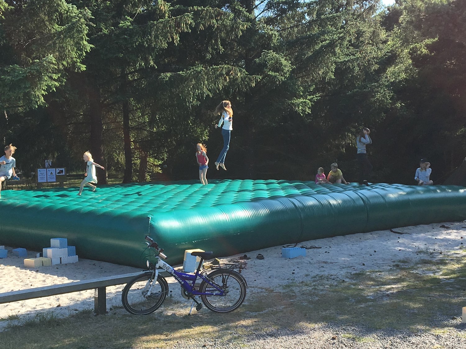 Møllers Dueodde Camping | Smuk natur & Danmarks bedste badestrand