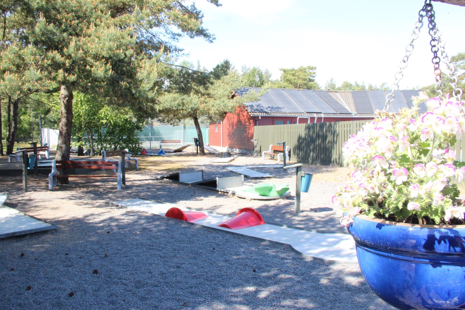 Møllers Dueodde Camping | Smuk natur & Danmarks bedste badestrand