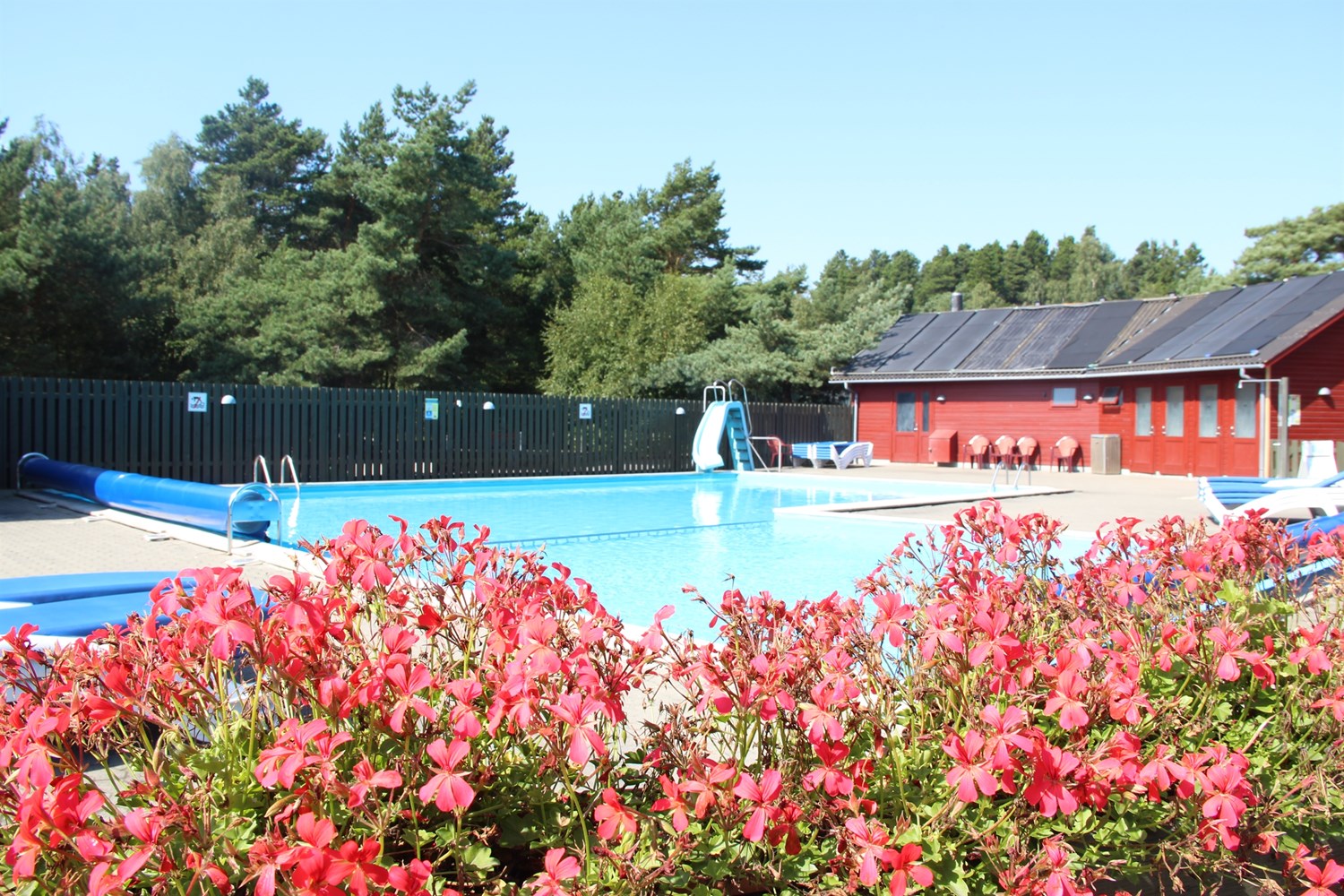 Møllers Dueodde Camping | Smuk natur & Danmarks bedste badestrand